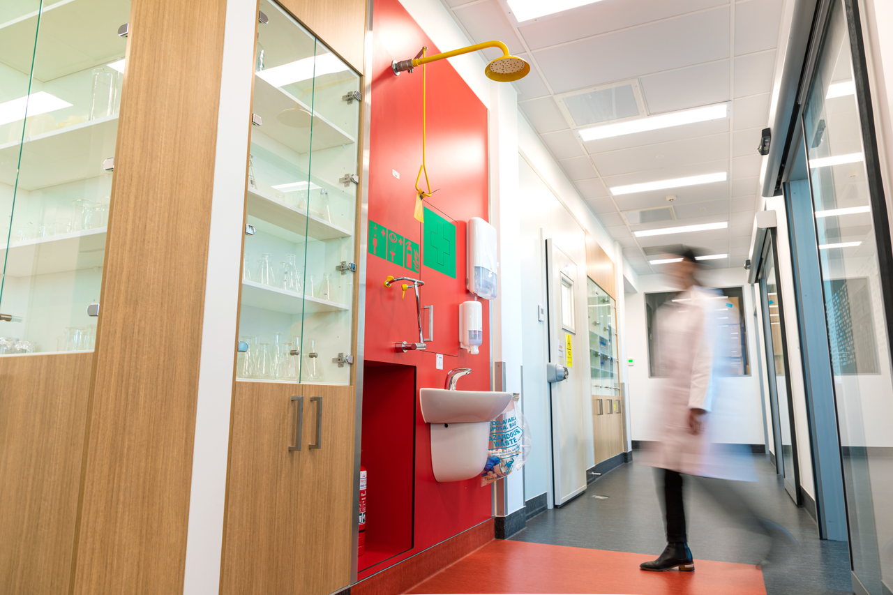 Toitū te Waiora continue to impact on health and holistic wellness ...